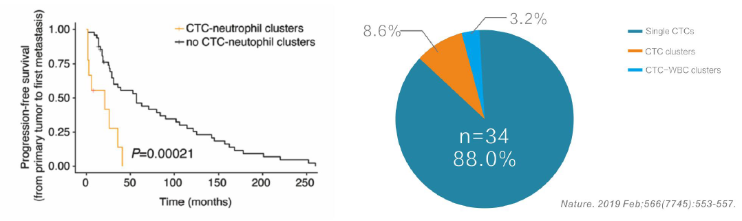 Automatic CTC Separator - NewEast Biosciences - GTPase, Oncogene and ...