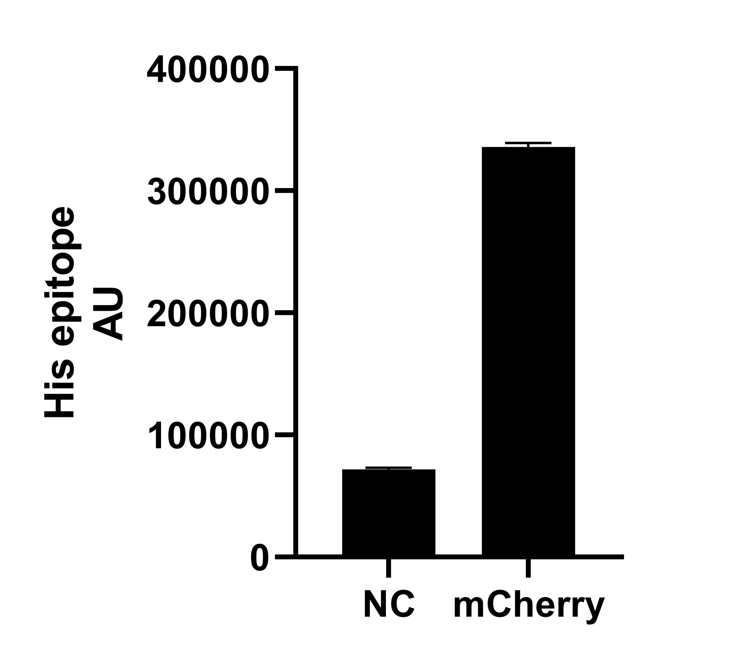 Anti-mCherry Nanobody - NewEast Biosciences - GTPase, Oncogene and ...